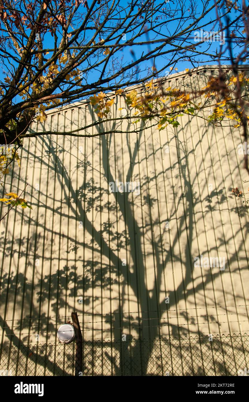 Sunlight shadows around wall hi-res stock photography and images - Alamy