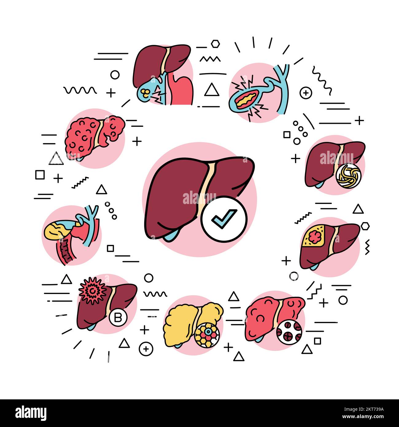Liver diseases web banner. Infographics with linear icons on white ...