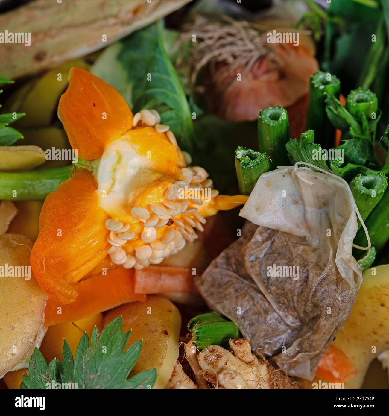 Composting kitchen vegetable waste hi-res stock photography and images ...