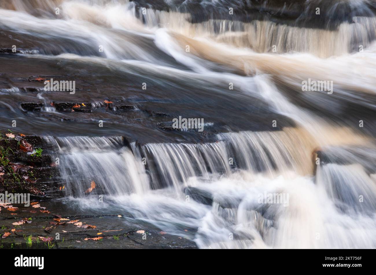 Around the UK - River Yarrow, Yarrow Valley Country Park, Chorley Stock ...