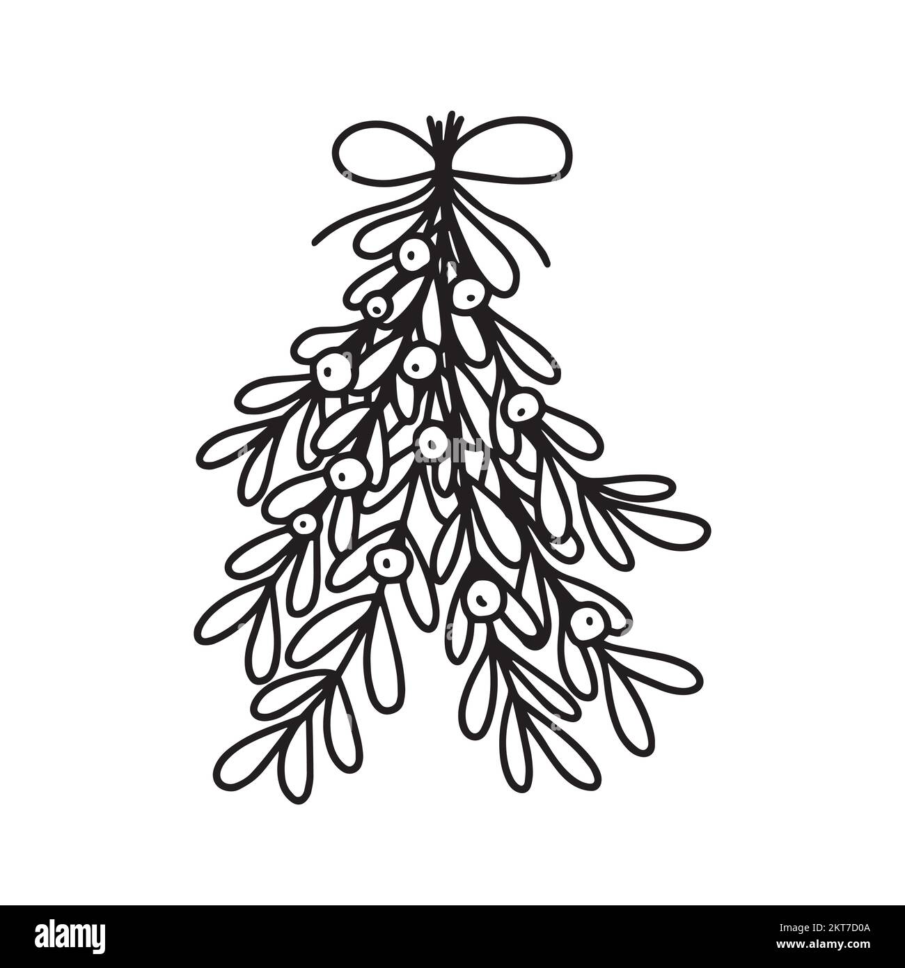 Sprig holly Black and White Stock Photos & Images - Alamy