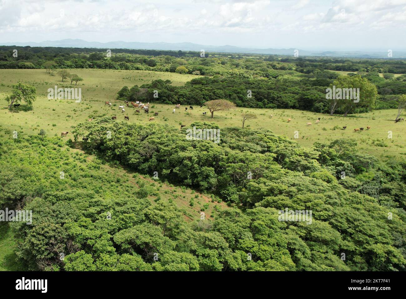 Aerial landscape drone grass grassland hi-res stock photography and ...