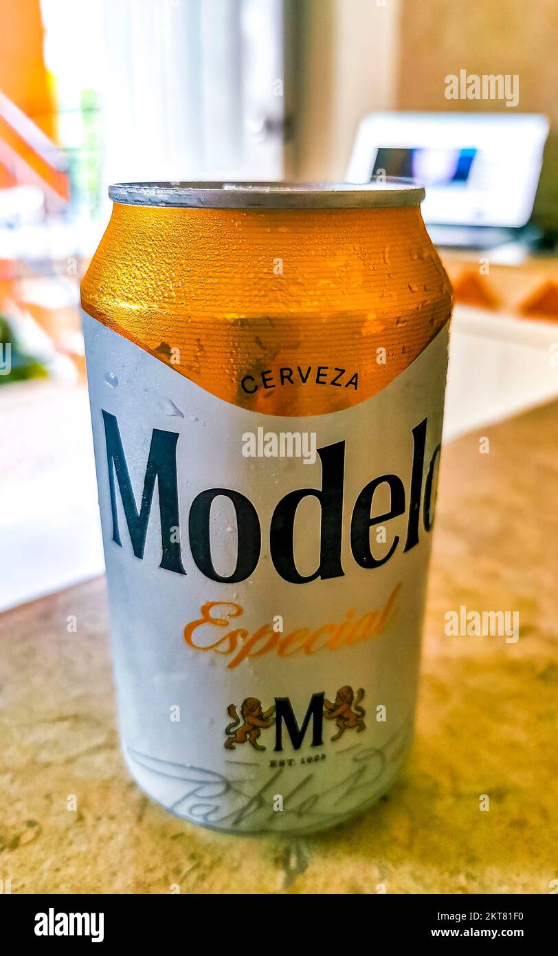 Cerveza modelo logo hi-res stock photography and images - Alamy