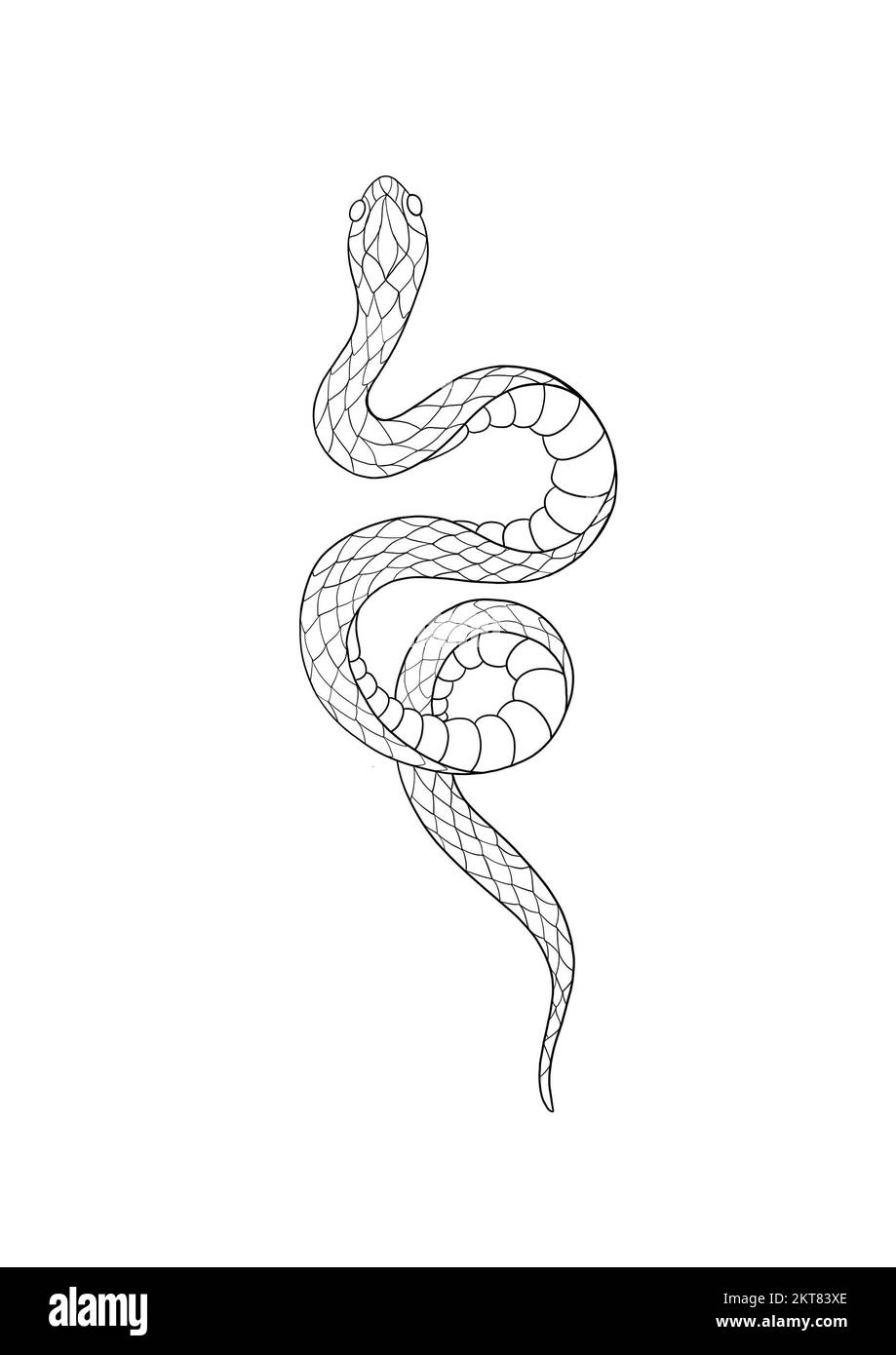 Serpent Dessin