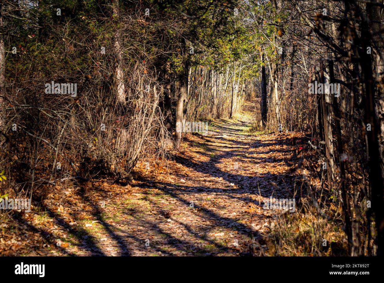 Lemoine park hi-res stock photography and images - Alamy