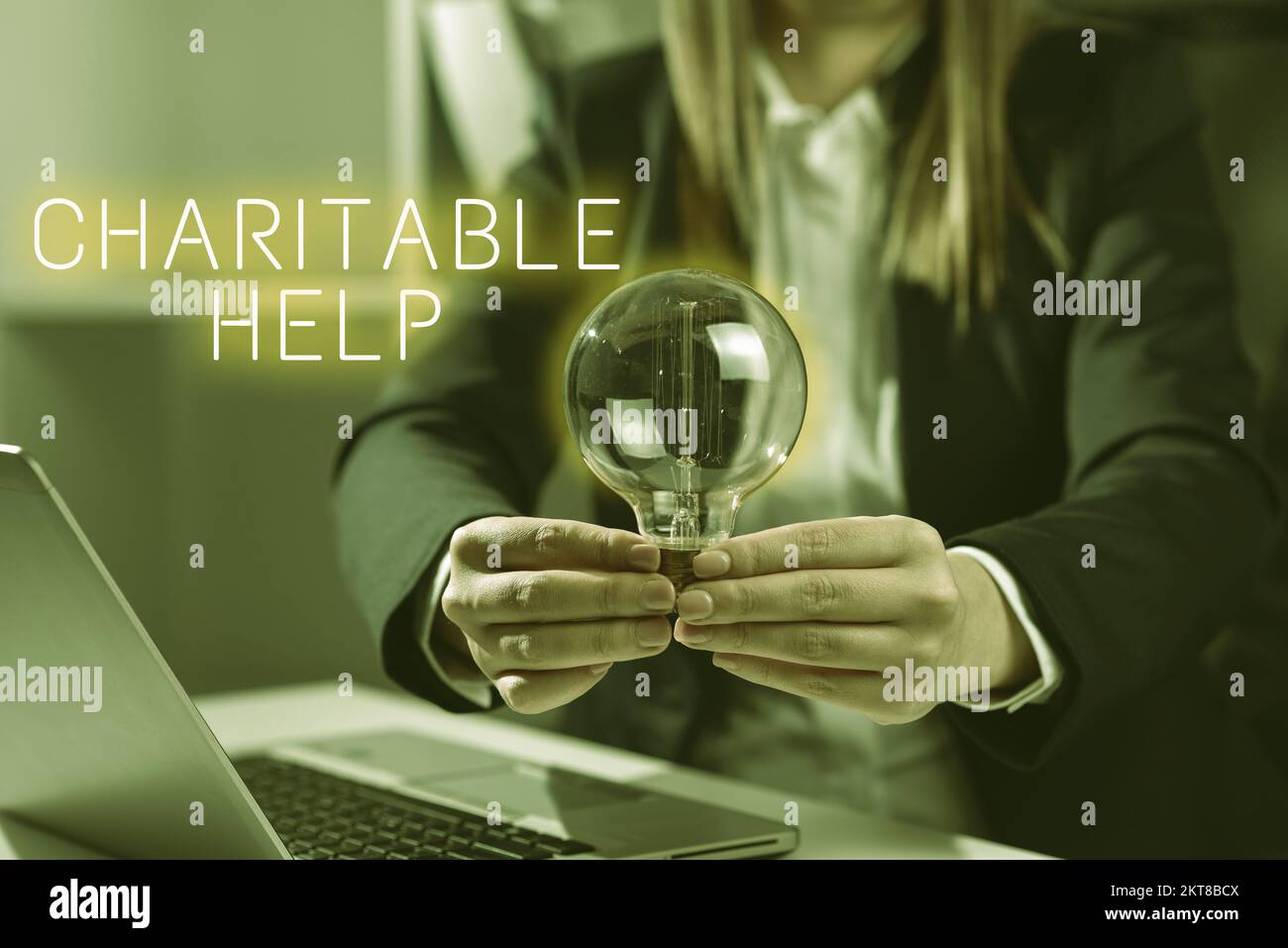 Text caption presenting Charitable Help, Business overview system of giving money or help free ...