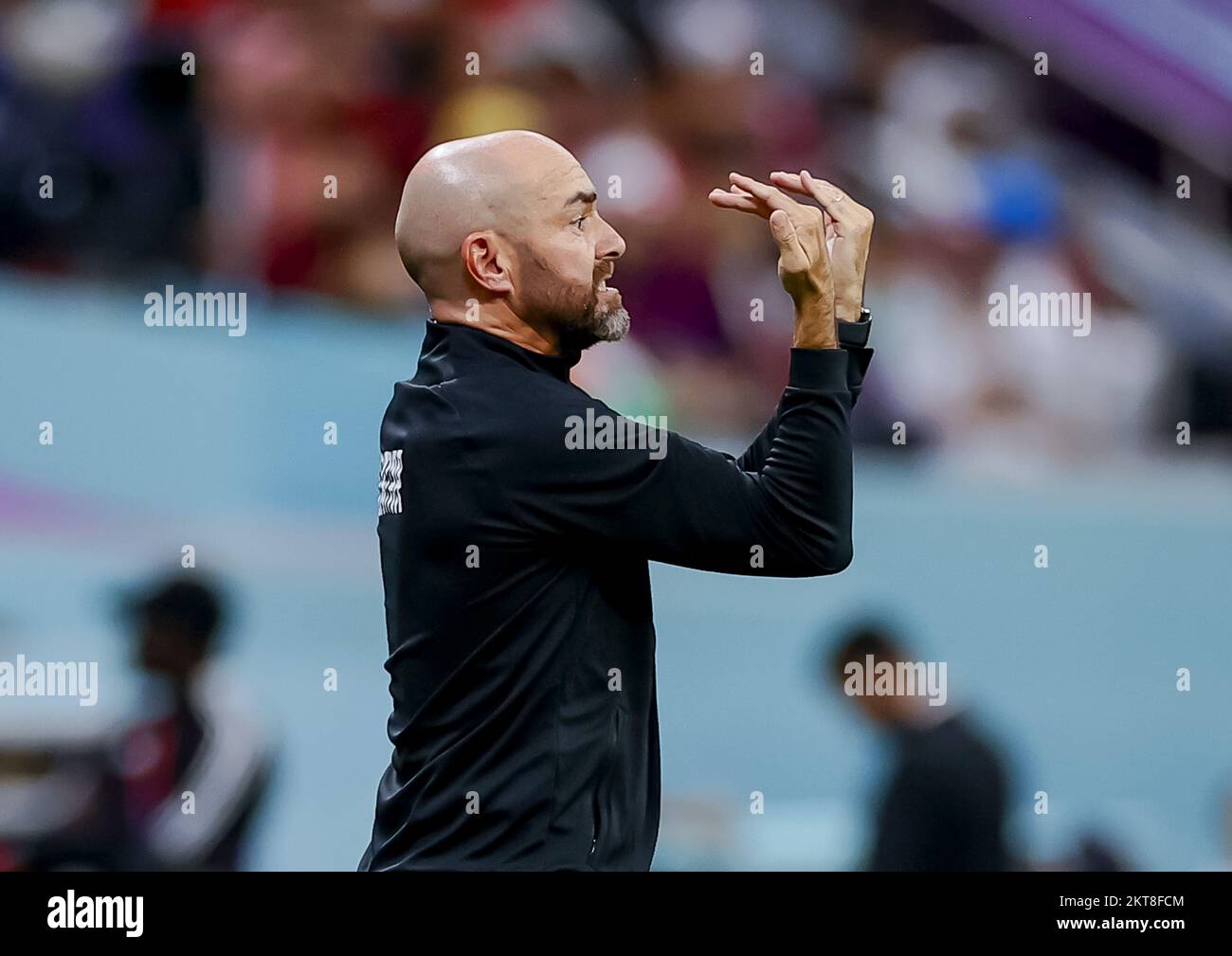 AL KHOR - Qatar coach Felix Sanchez during the FIFA World Cup Qatar ...