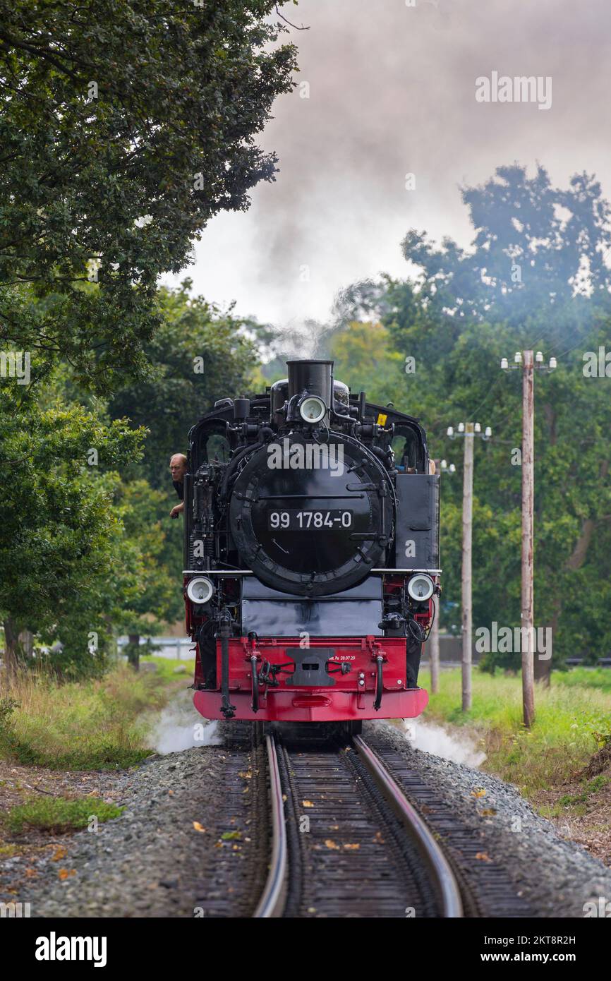 Rgensche Bderbahn Rasender Roland