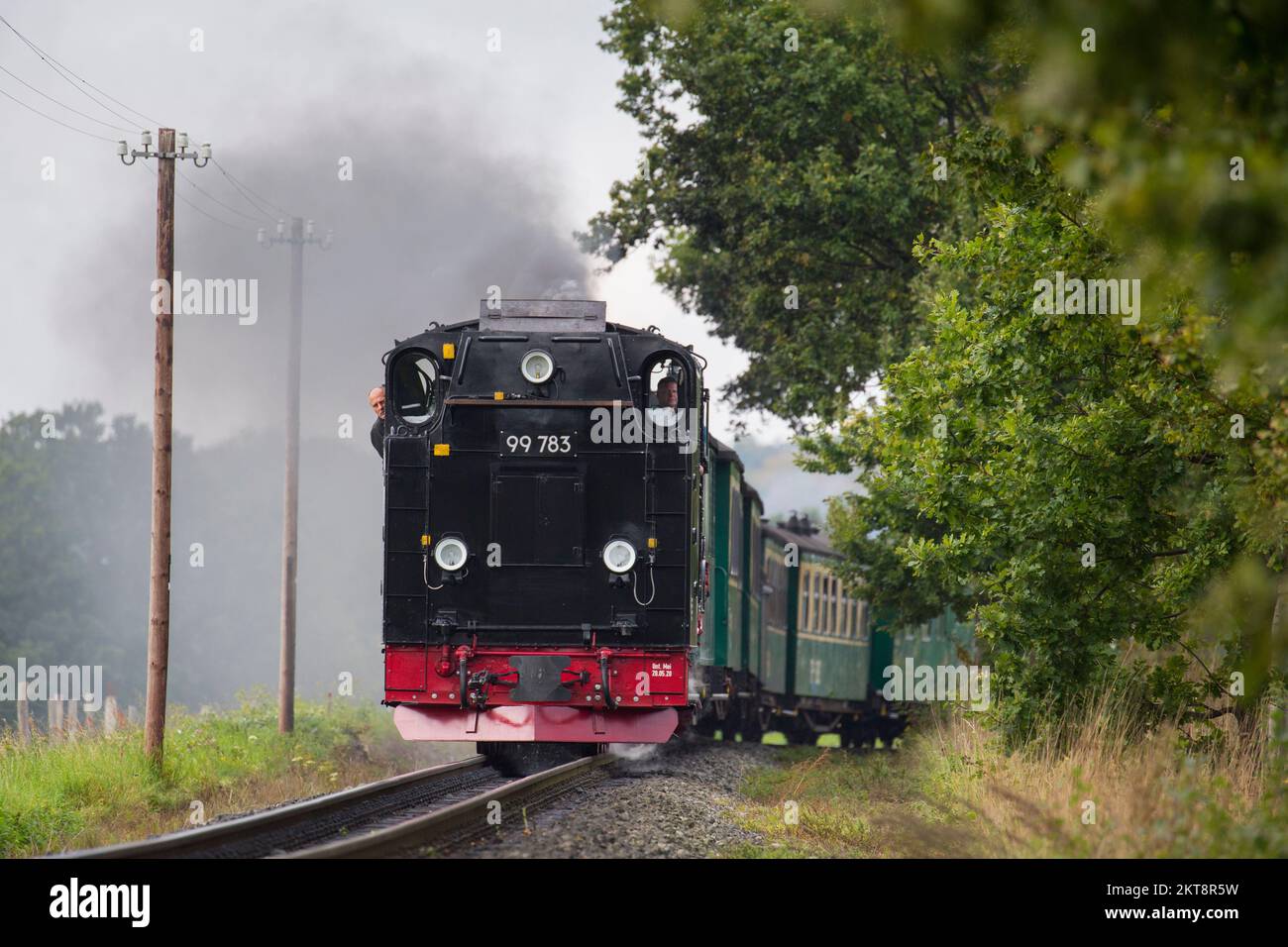 Rasender Roland steam locomotive 99 783 on the Rügen narrow-gauge ...