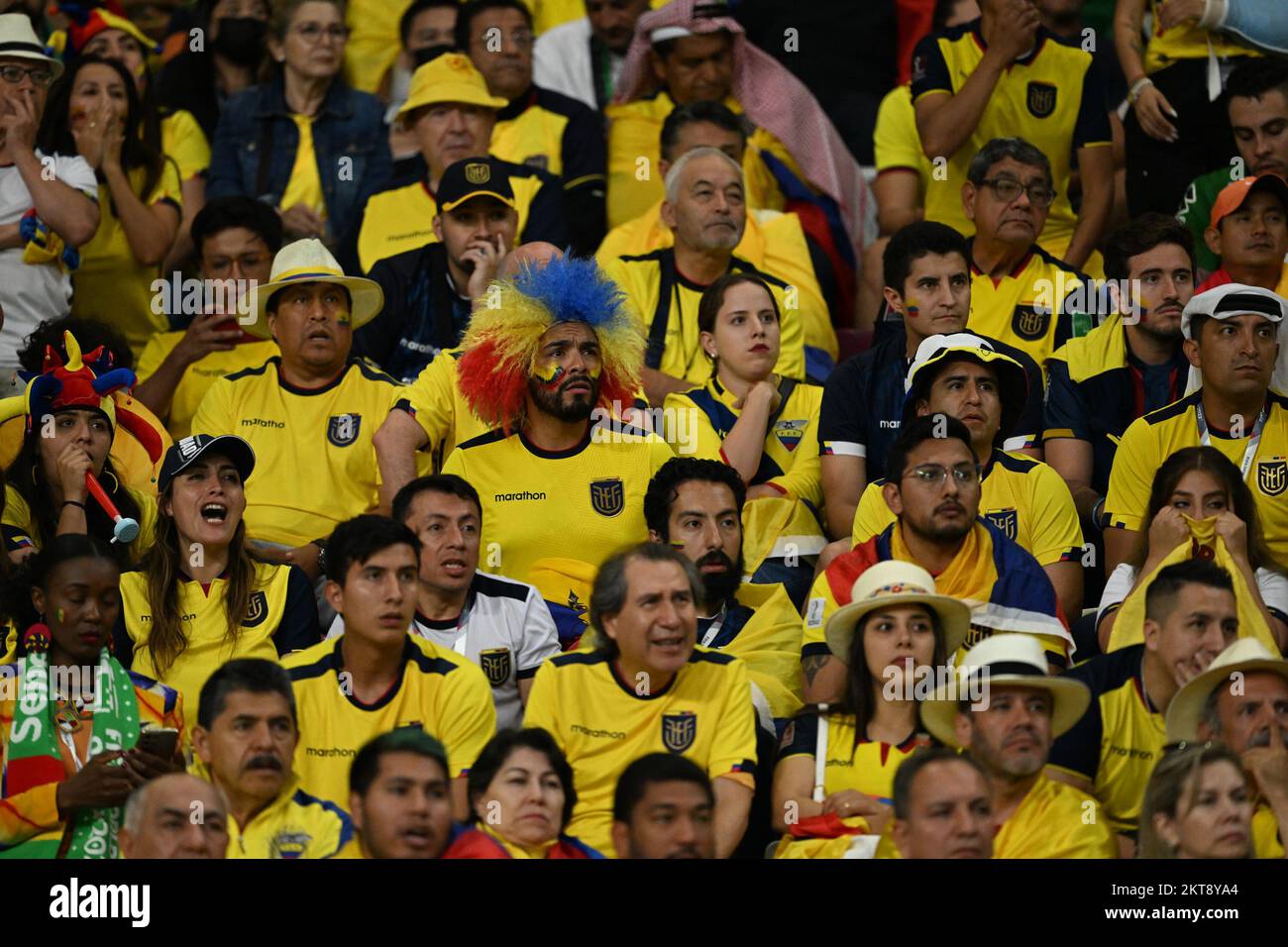 Doha, Catar. 29th Nov, 2022. Ecuador fans during a match between ...