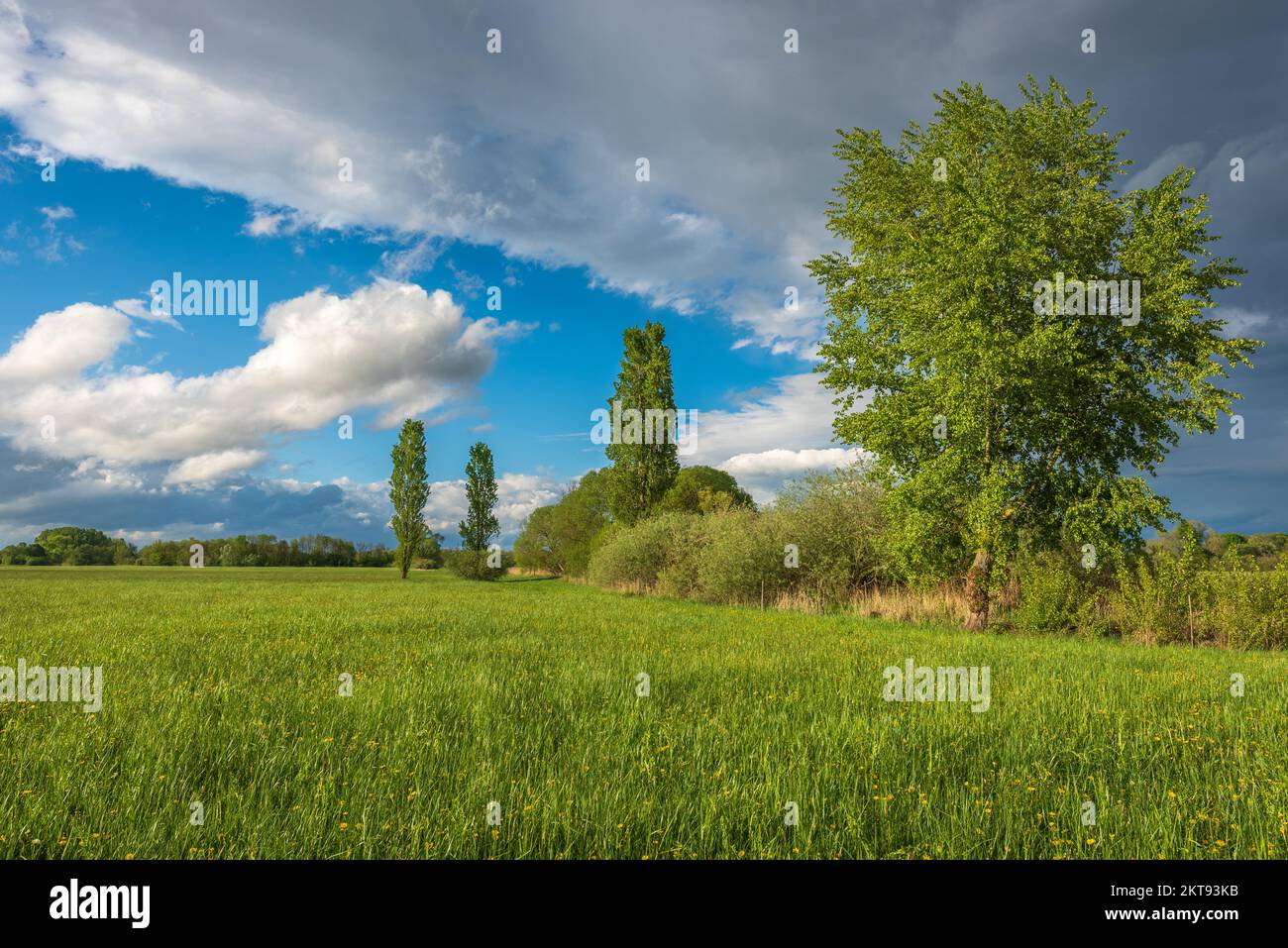 Dotted with trees hi-res stock photography and images - Alamy