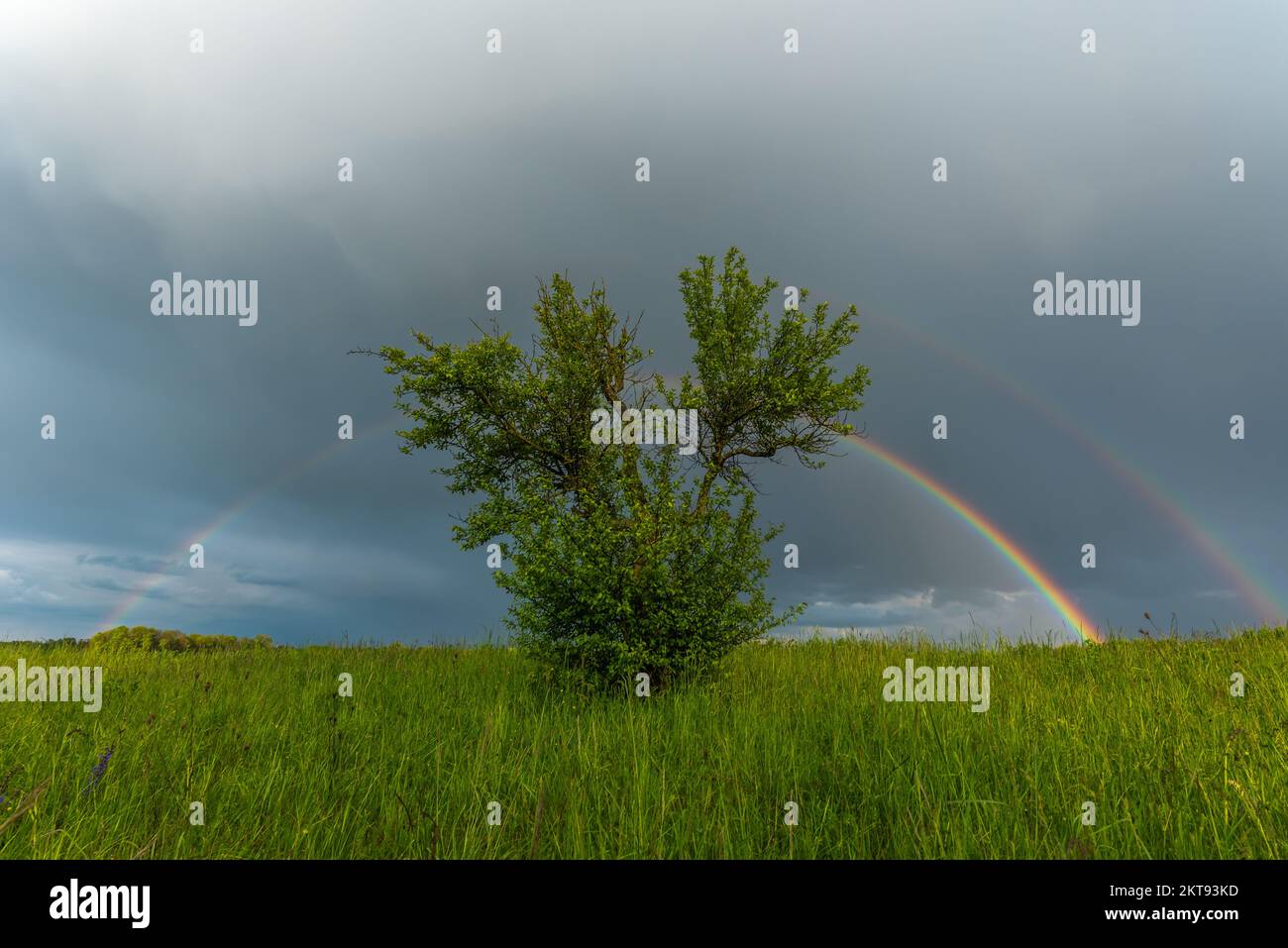 Rainbow scenery hi-res stock photography and images - Alamy