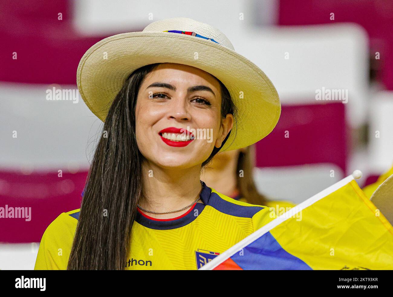 Ecuador fans during the FIFA World Cup 2022, Group A football match ...