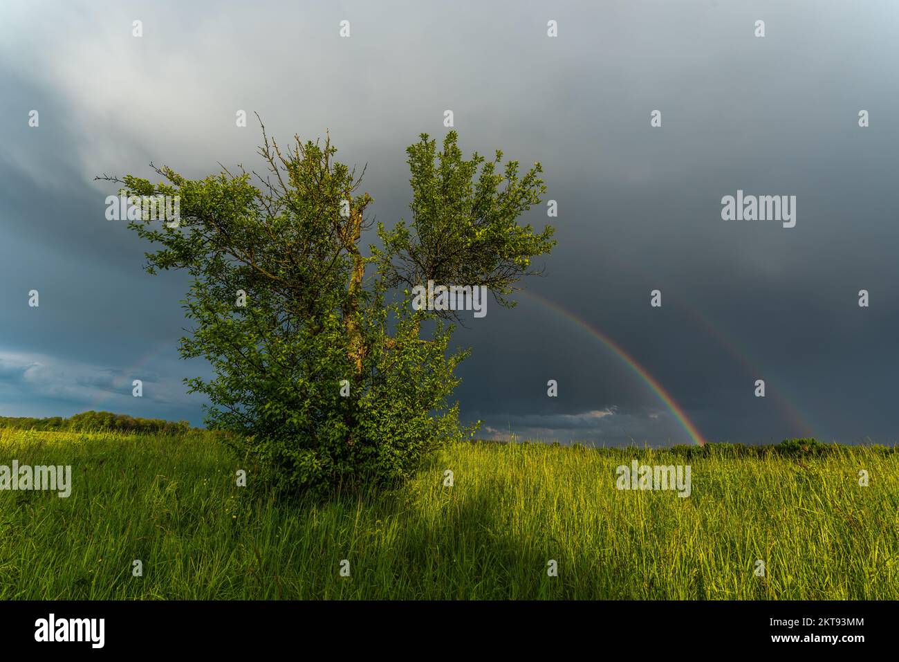 Appearance of a double rainbow in front of a late afternoon storm ...