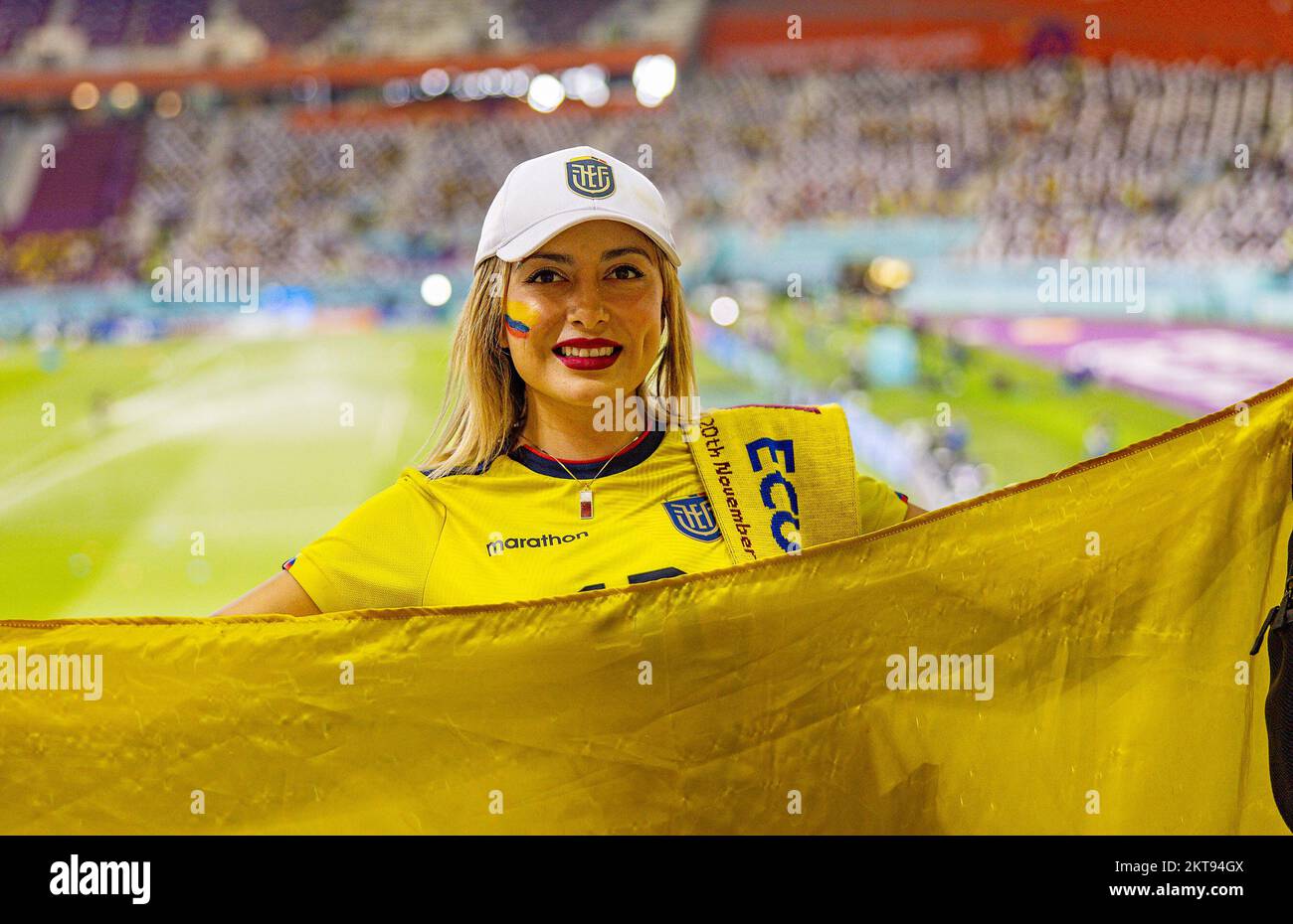 Ecuador fans during the FIFA World Cup 2022, Group A football match ...