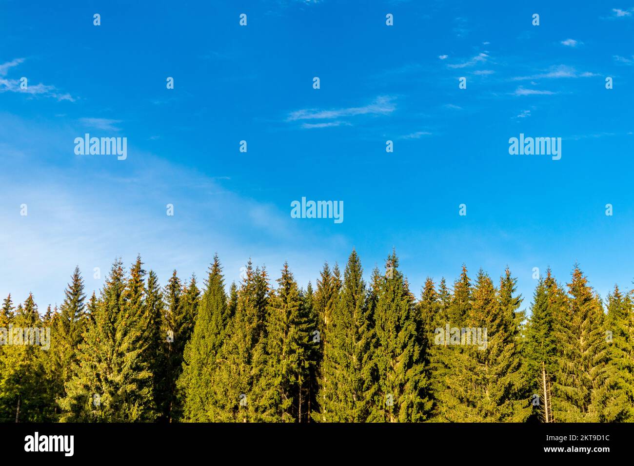 Autumn discovery tour through the Thuringian Forest near Oberhof ...