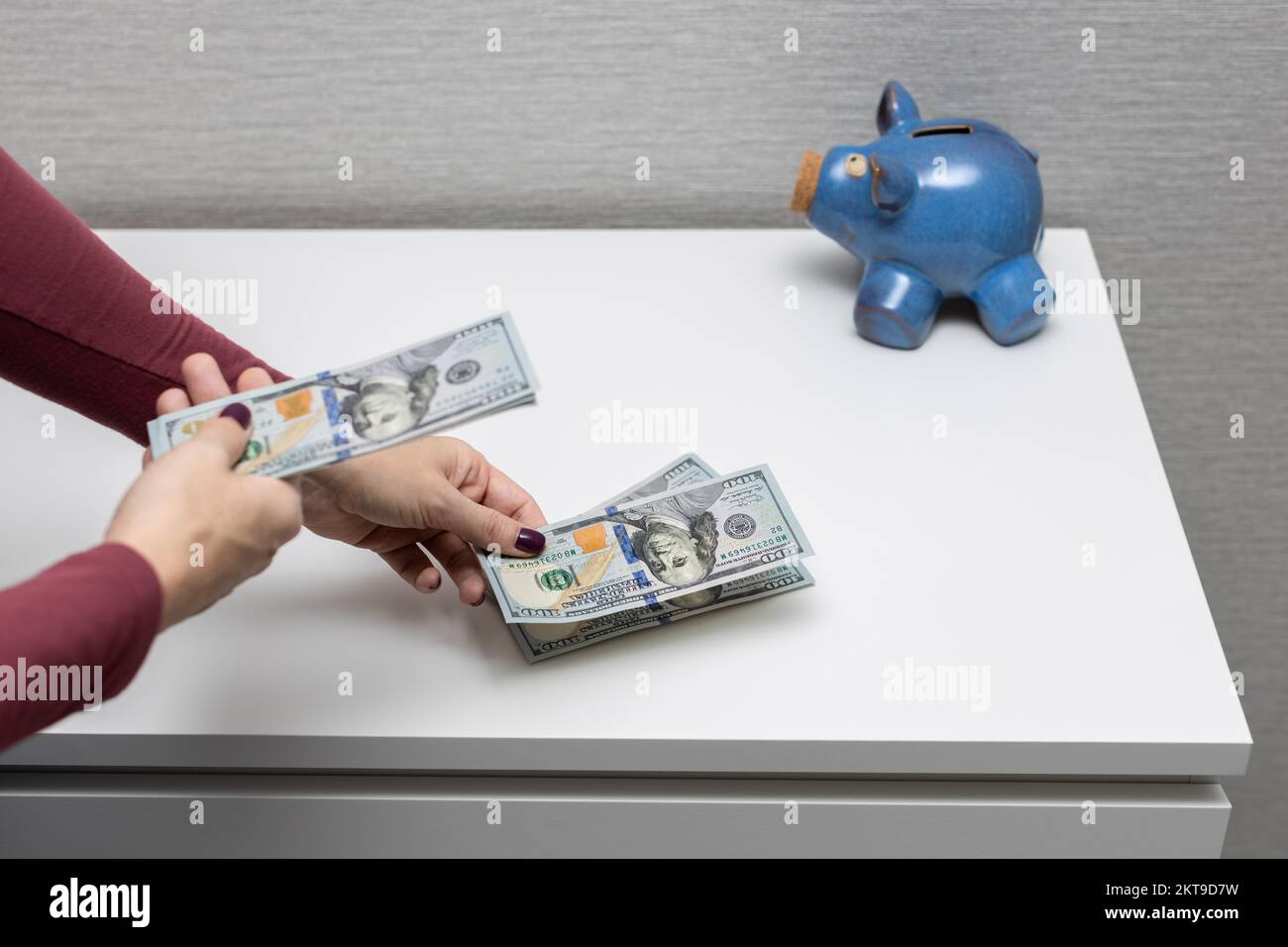 a man counts his money savings against the background of a piggy bank ...