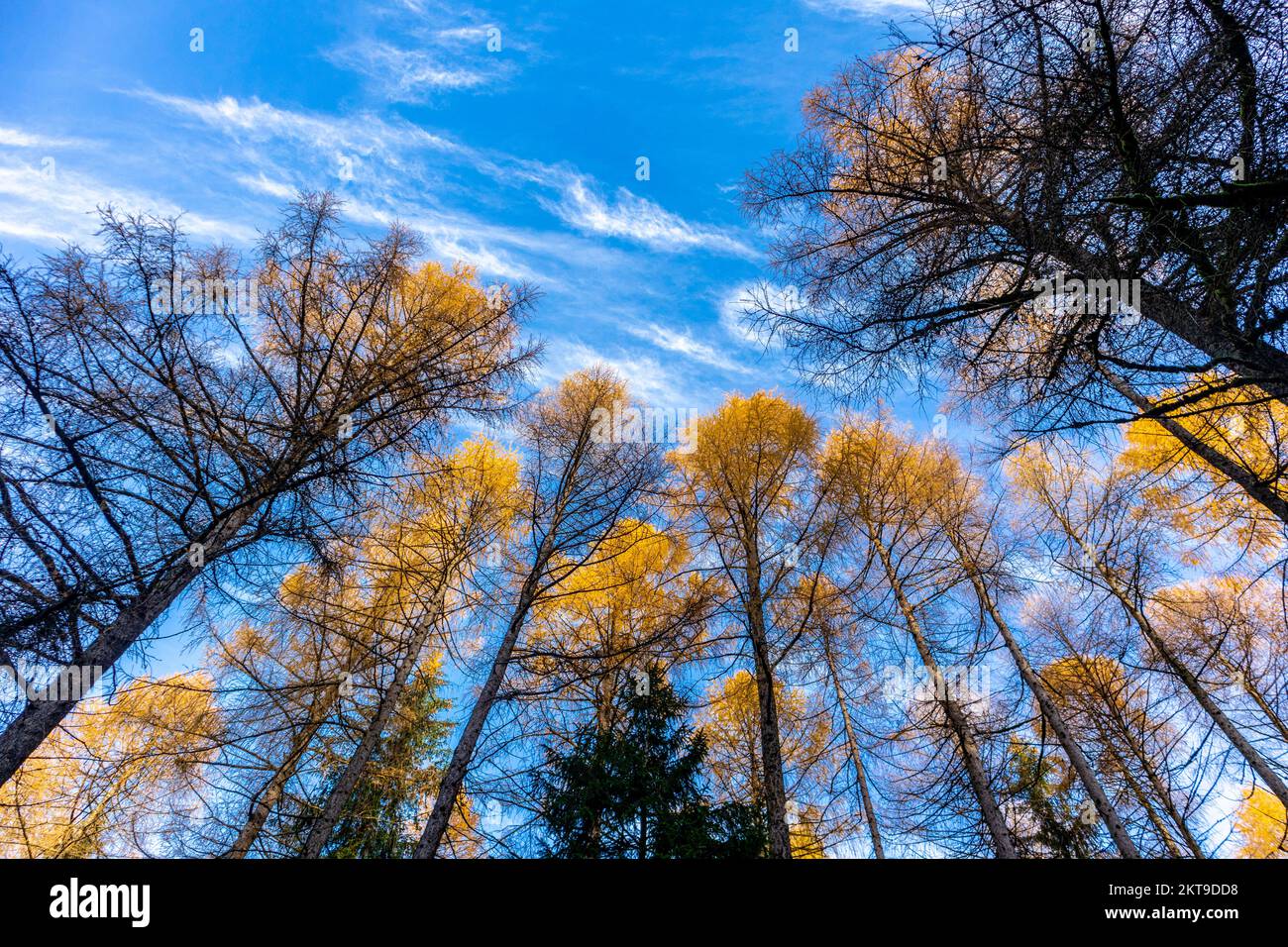 Autumn discovery tour through the Thuringian Forest near Oberhof ...
