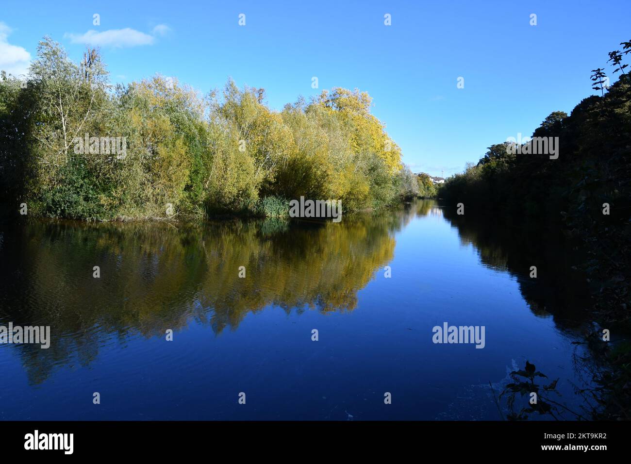 Autumn colours reflection on a river Nore, Kilkenny, Ireland Stock ...