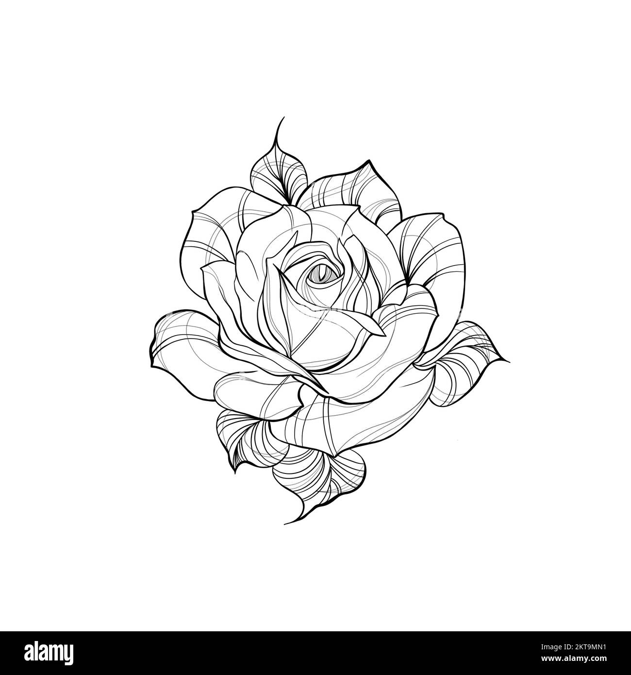 Detailed sketch of a rose flower tattoo. Decorative elements for tattoo ...