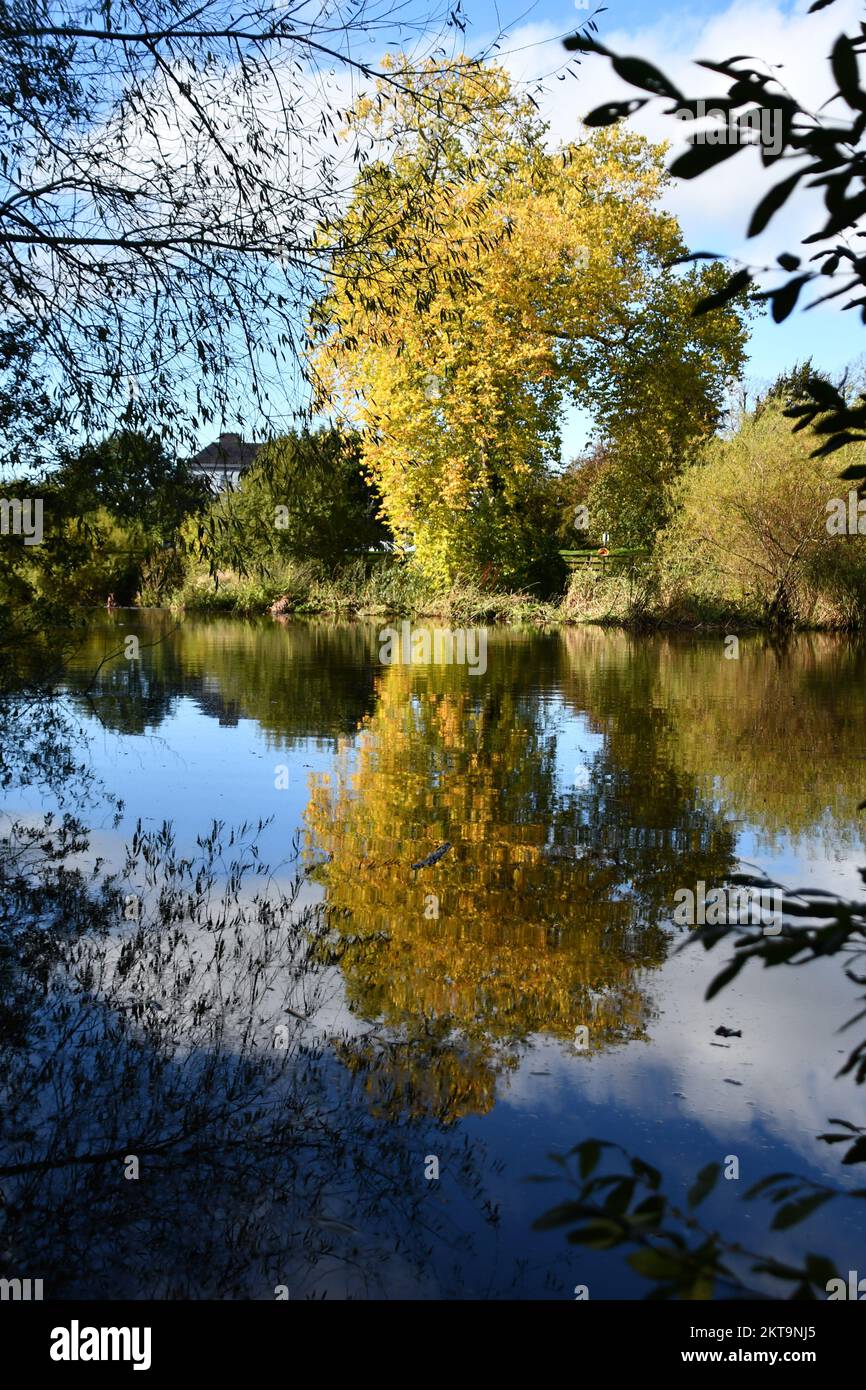 Autumn colours reflection on a river Nore, Kilkenny, Ireland Stock ...
