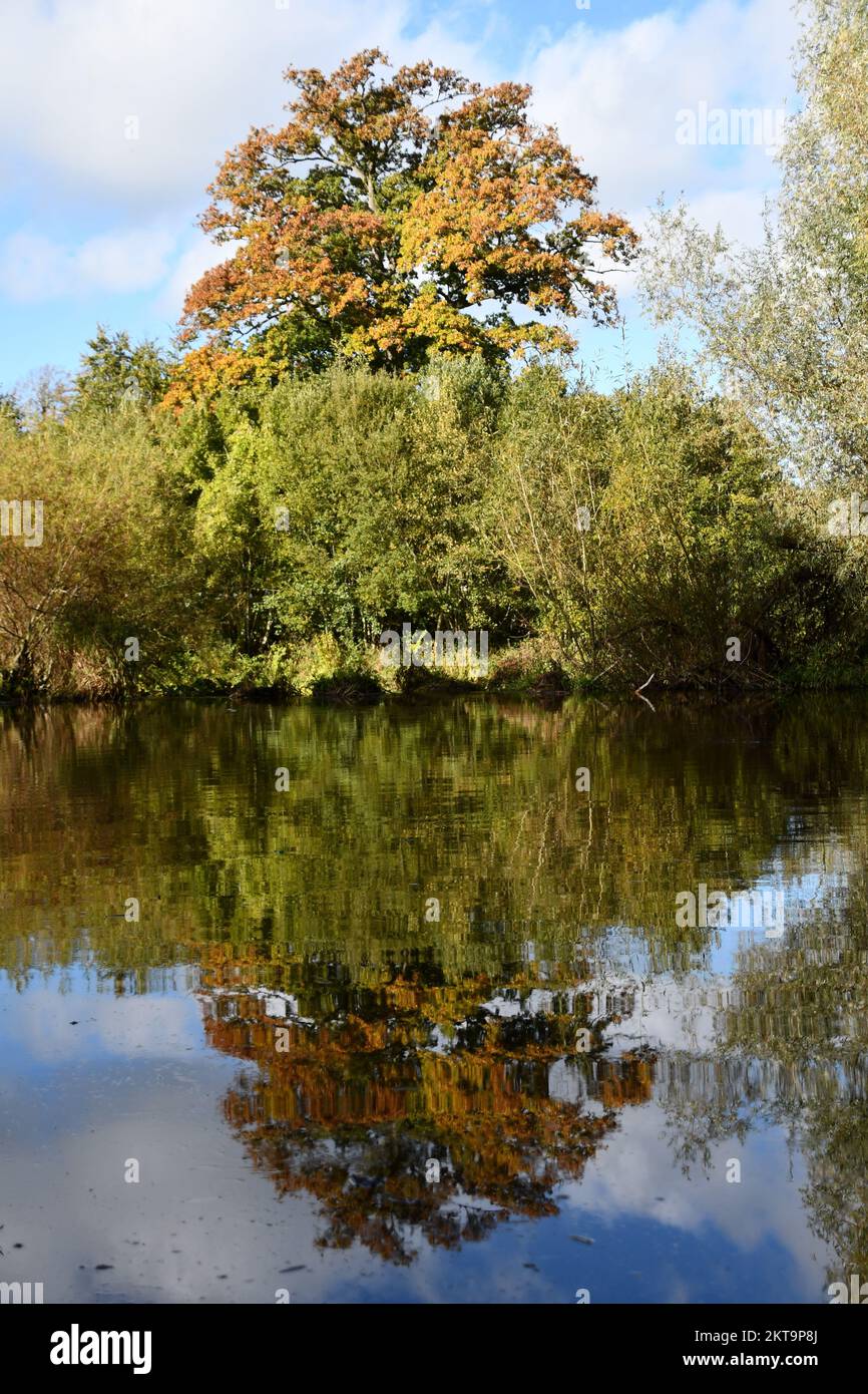 Reflection on a river hi-res stock photography and images - Alamy