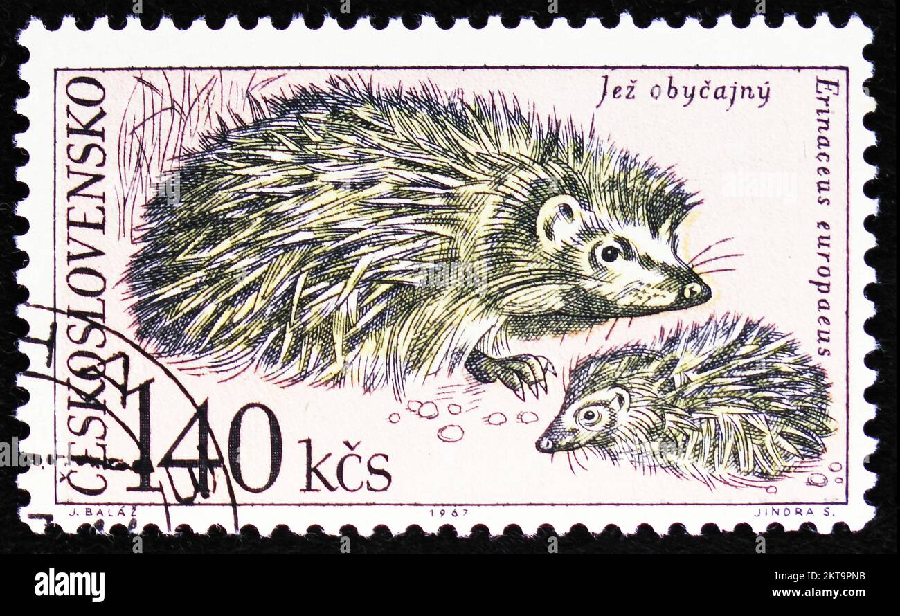 MOSCOW, RUSSIA - OCTOBER 29, 2022: Postage stamp printed in ...