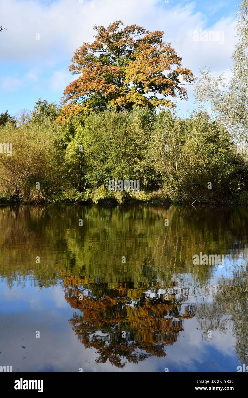 Autumn colours reflection on a river Nore, Kilkenny, Ireland Stock ...