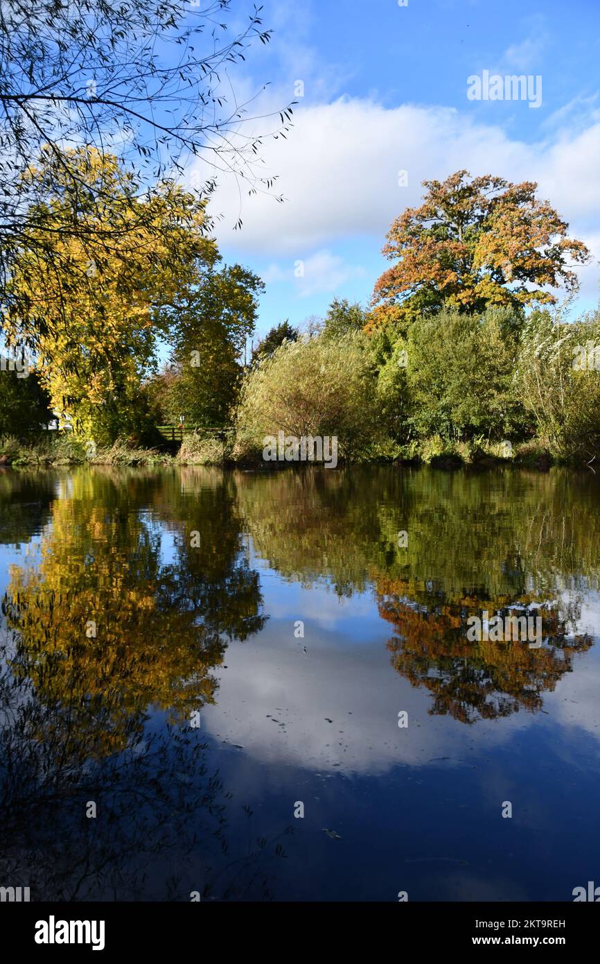 Autumn colours reflection on a river Nore, Kilkenny, Ireland Stock ...