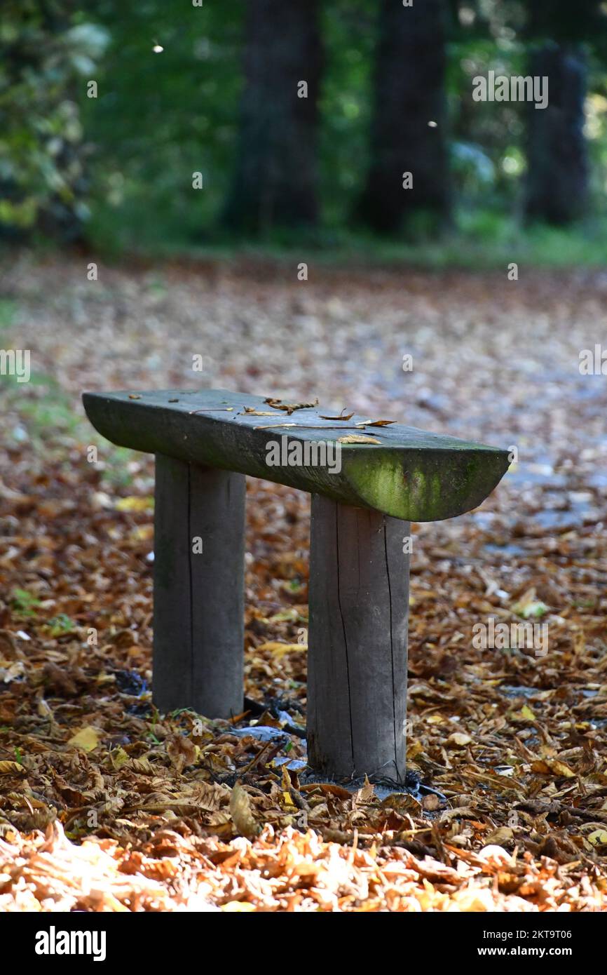 Bench in Canal Walk, Kilkenny, Ireland Stock Photo - Alamy