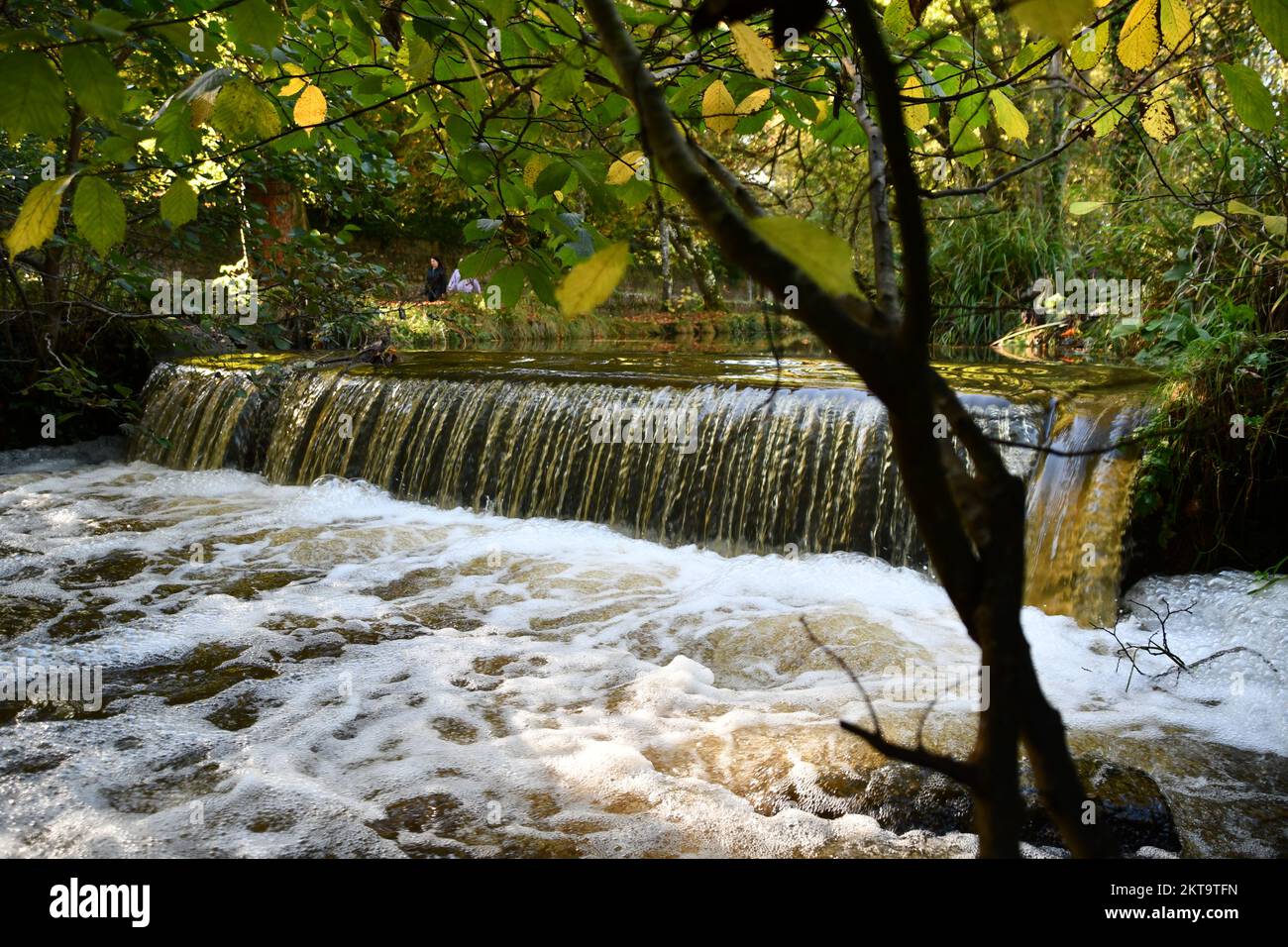 Weir in canal walk hi-res stock photography and images - Alamy