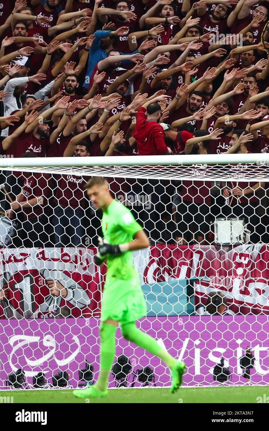 Doha, football, FIFA World Cup 2022, Netherlands. 29th Nov, 2022. v ...