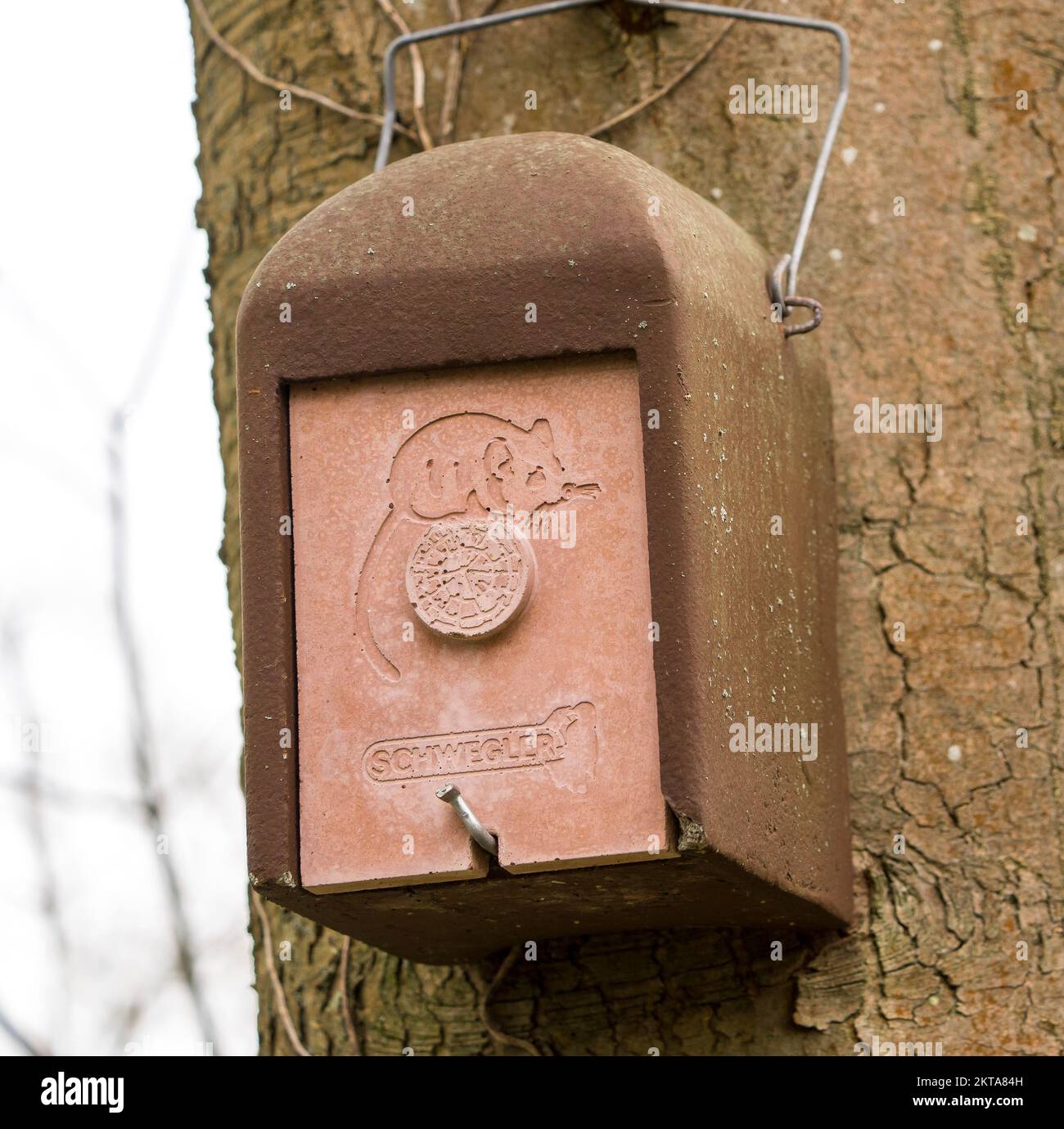 Close up of a rodent nesting box for dormice fixed to a tree outdoors ...