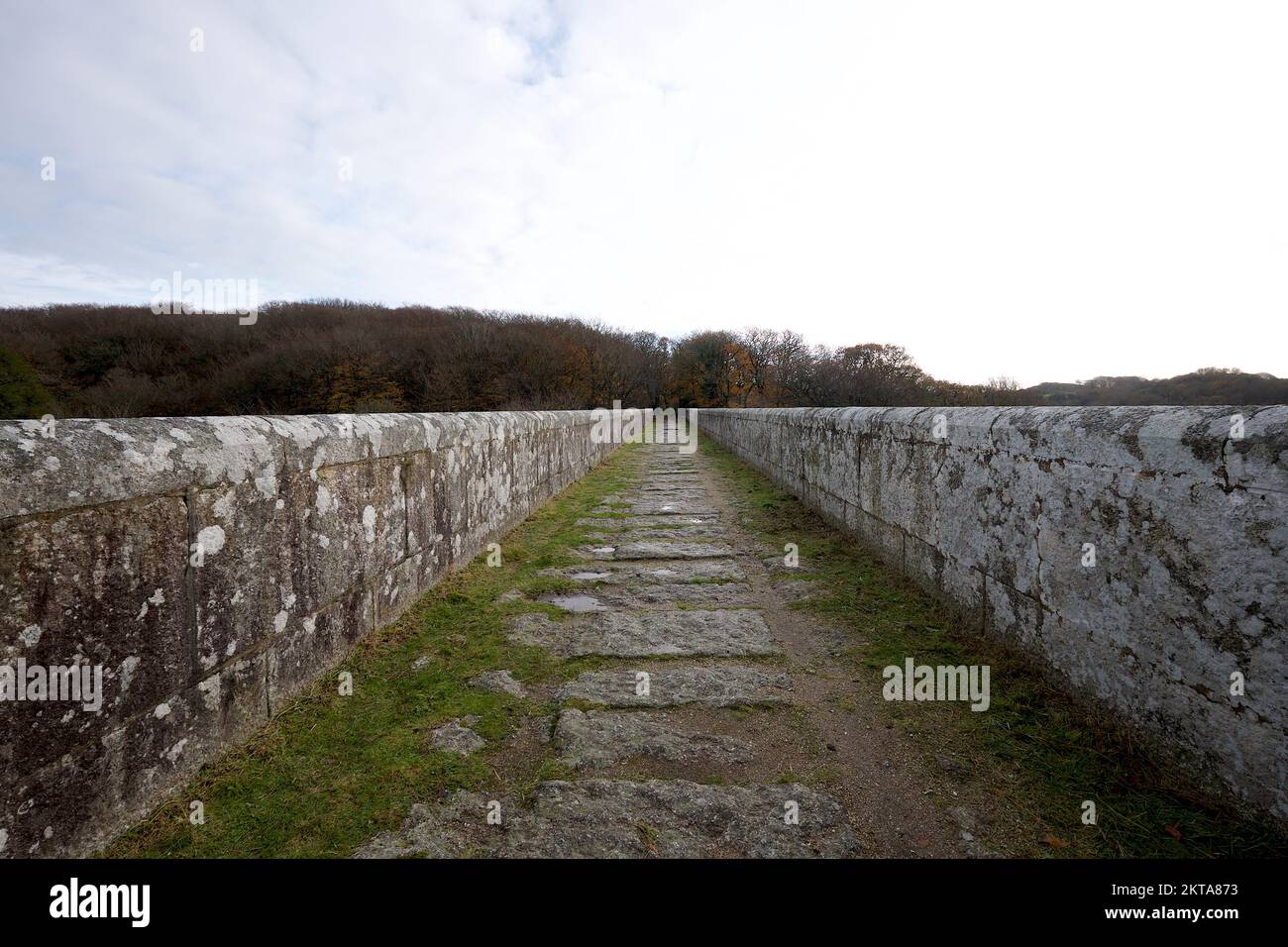 St Austell Cornwall UK 11 29 2022 Luxulyan Valley industrial remains as ...