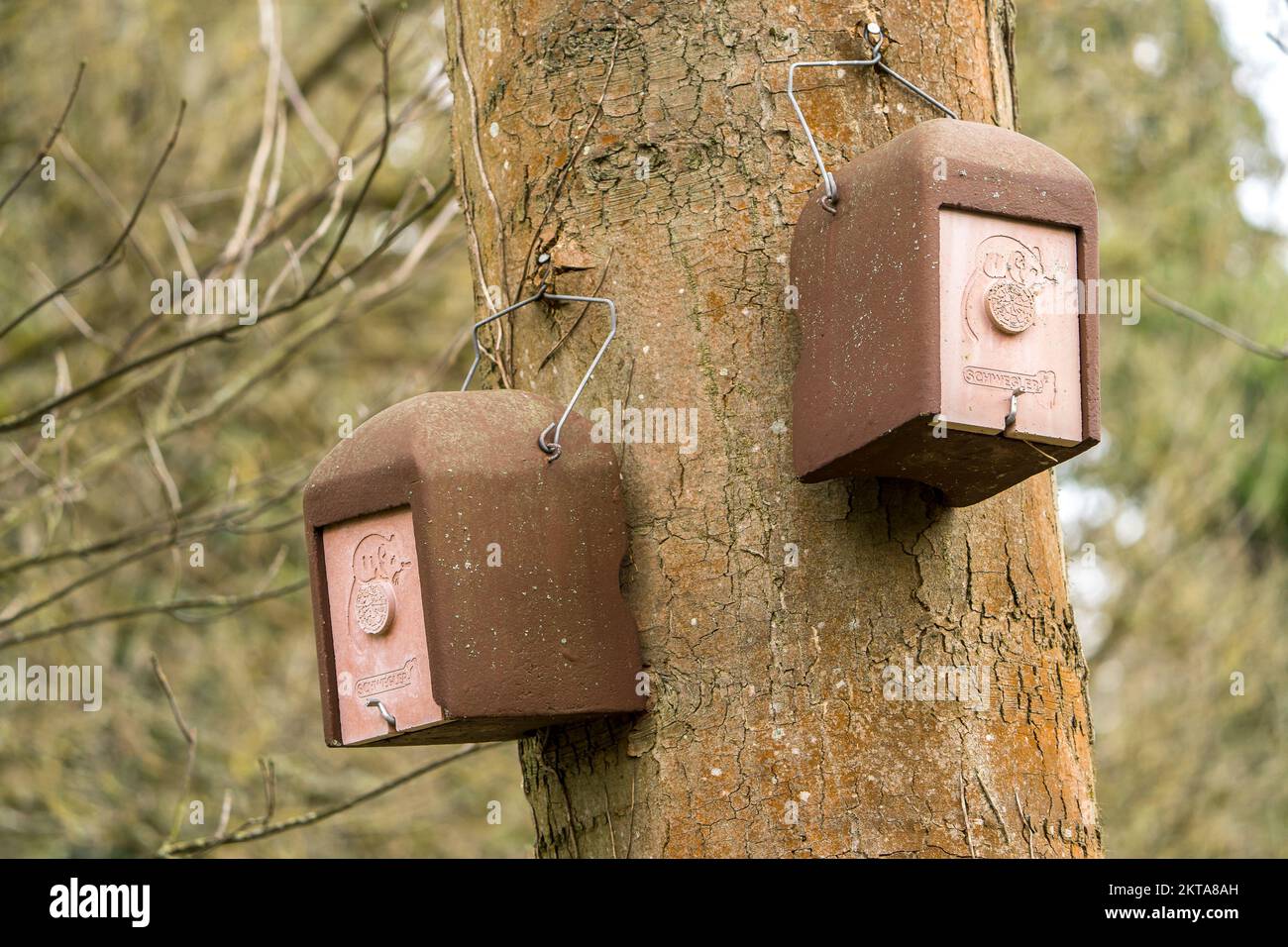 Hand mouse in house hi-res stock photography and images - Alamy