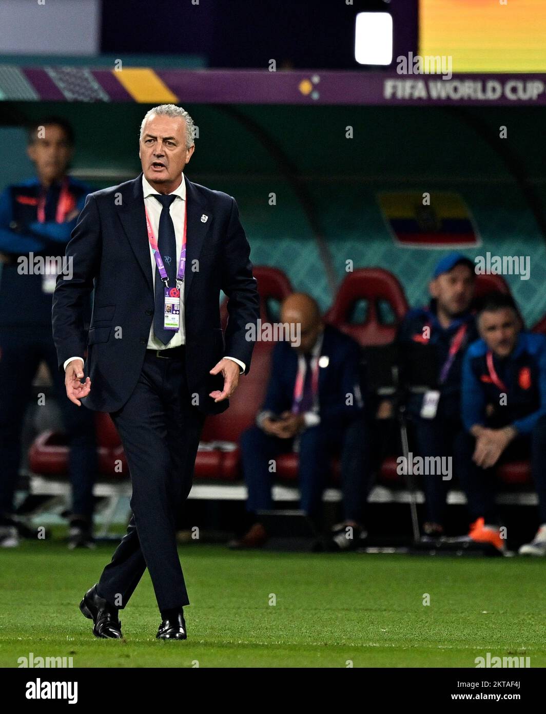 Doha, Qatar. 29th Nov, 2022. Gustavo Alfaro, head coach of Ecuador ...