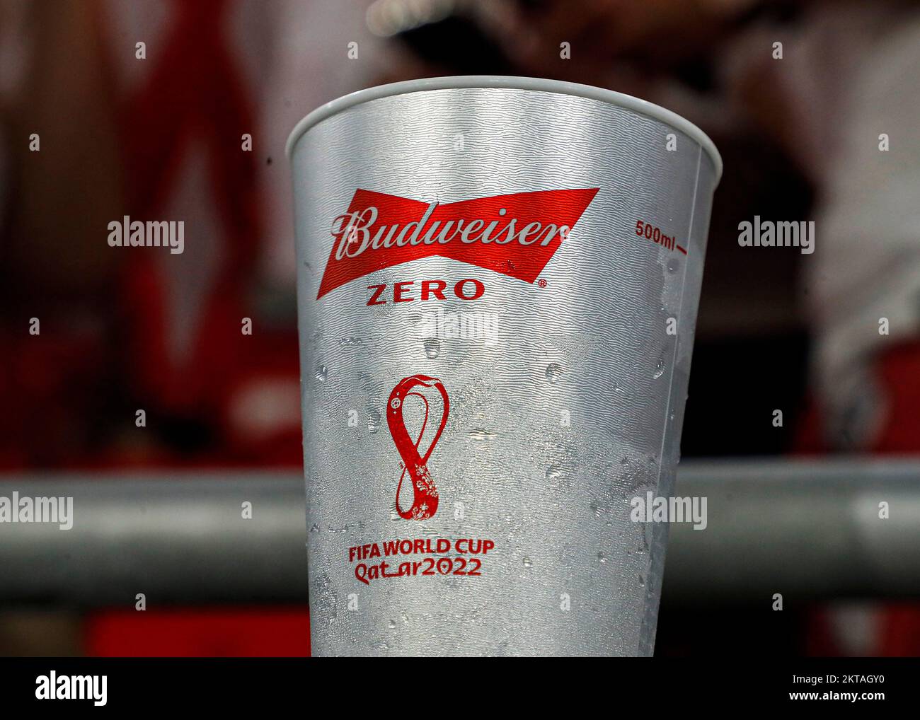 29th November 2022; Ahmed bin Ali Stadium, Al Rayyan, Qatar; FIFA World ...