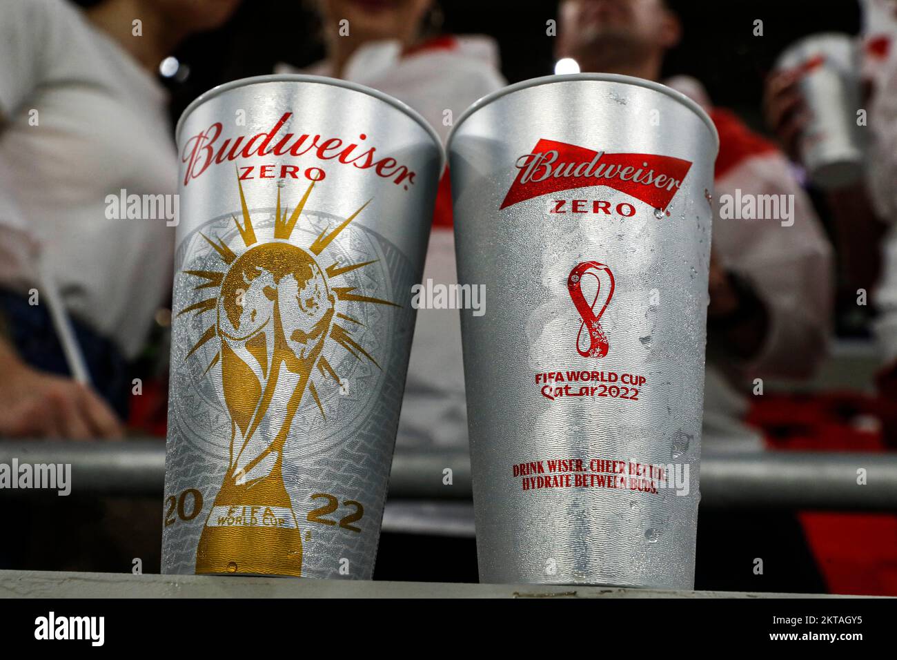 29th November 2022; Ahmed bin Ali Stadium, Al Rayyan, Qatar; FIFA World ...