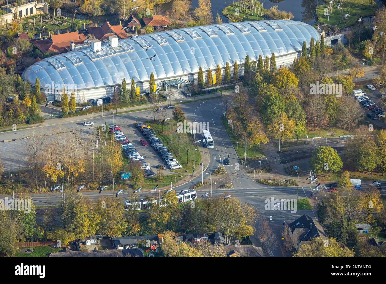 Aerial view, cranes over zoo ZOOM Erlebniswelt, cigar-shaped hall ...