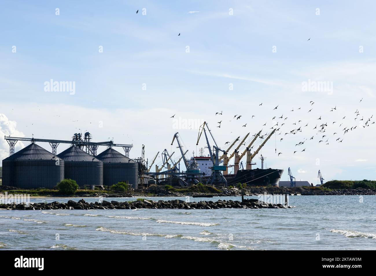 Port view with flock of flying birds, grain terminal silos, many shore ...