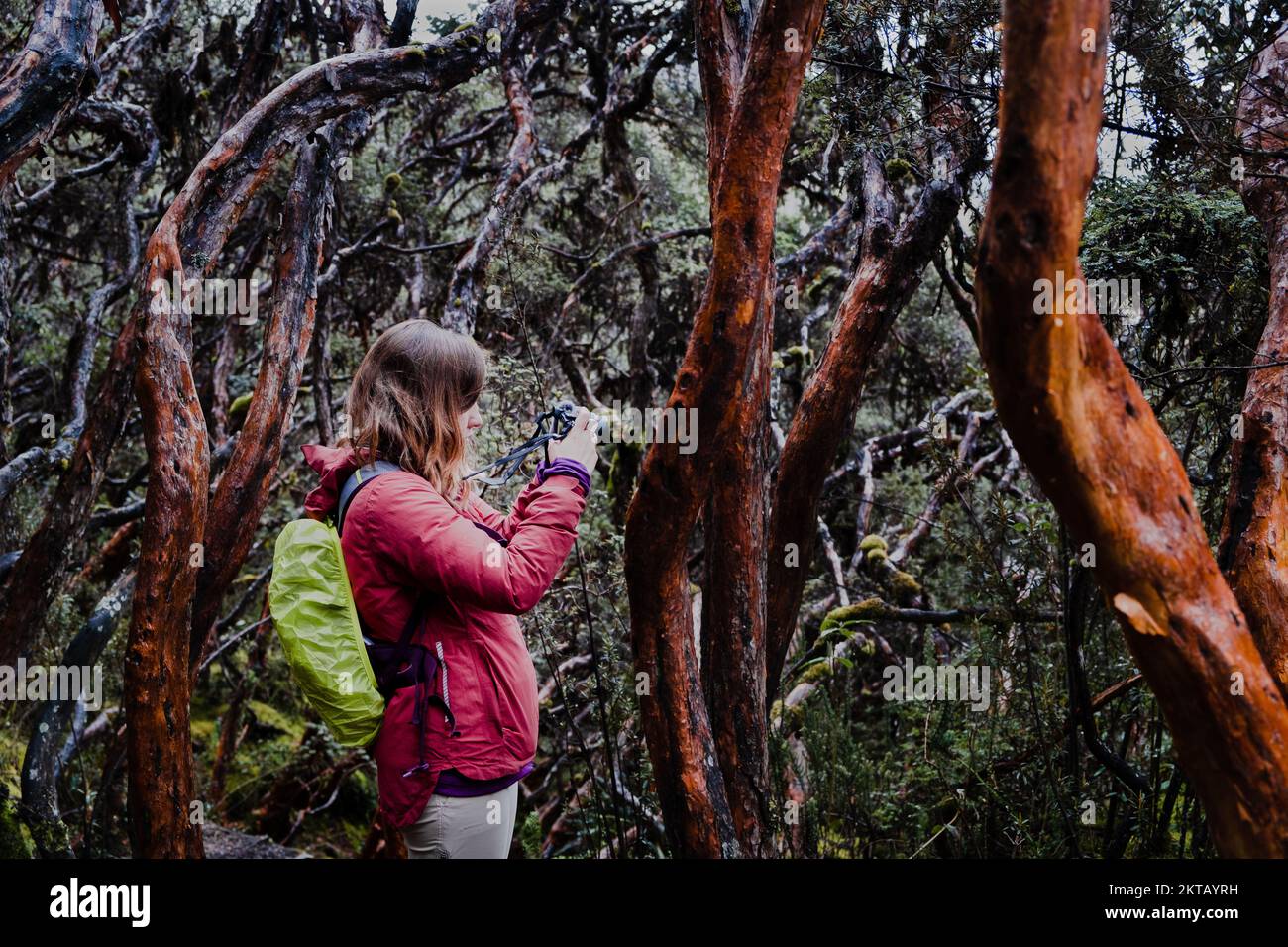 A woman taking a photo using her camera's screen display in a paper ...