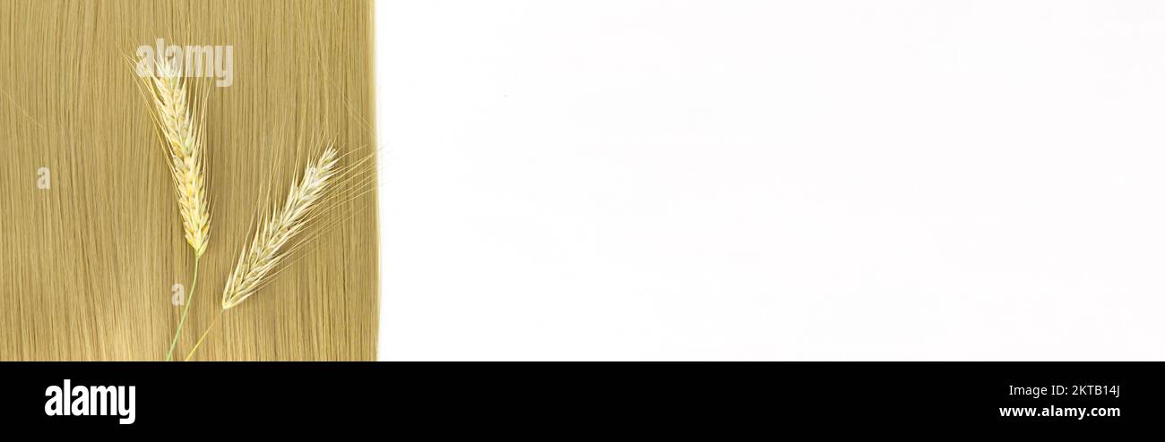 Strand of blond hair with sprigs of ripe wheat on white. Curls of hair ...