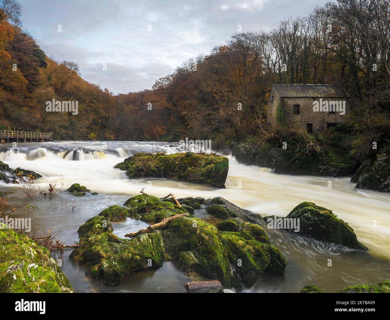 Watermill, Cenarth Falls, River Teifi, Wales Stock Photo - Alamy