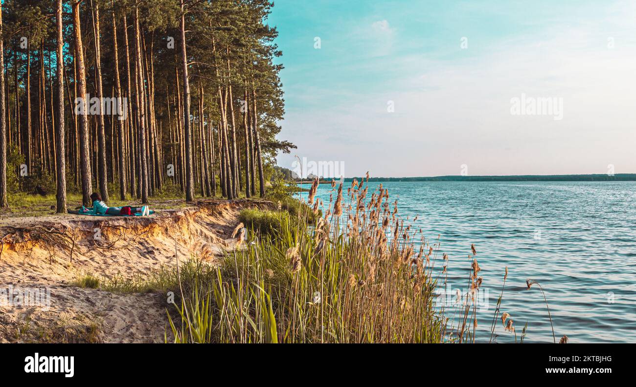 Forest cliff on the lake. Reeds and roots. Sunbathing on a blanket ...
