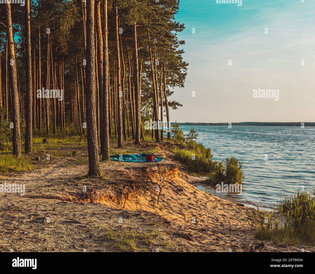 Forest cliff on the lake. Reeds and roots. Sunbathing on a blanket ...
