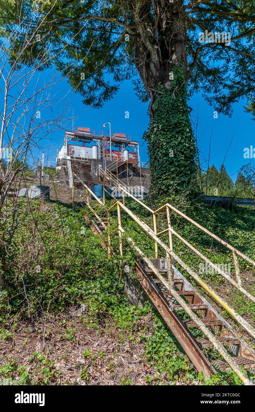 Leaburg Dam and fish hatchery spillway in Vida near covered bridge near ...