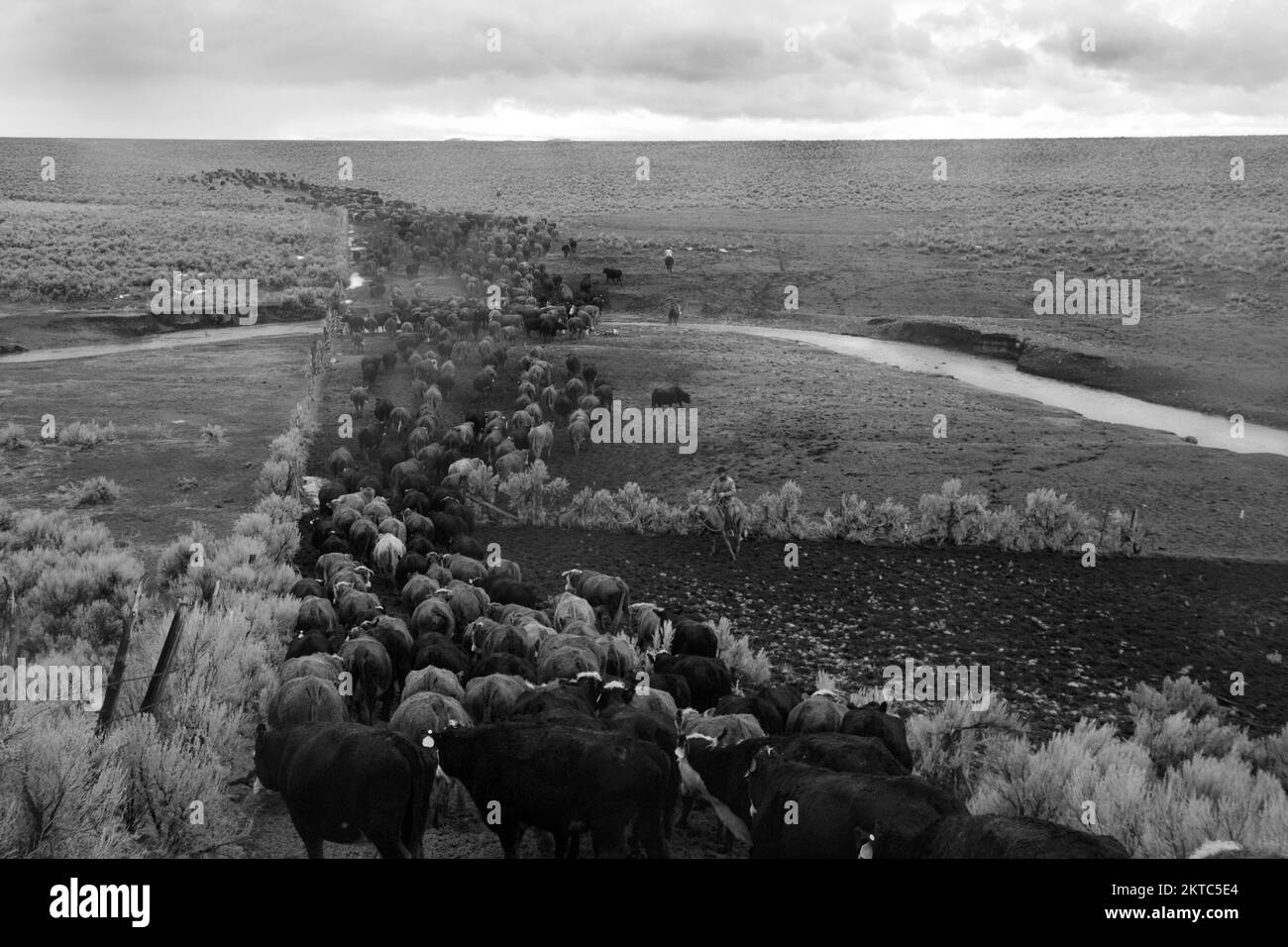For high reaching Black and White Stock Photos & Images - Alamy