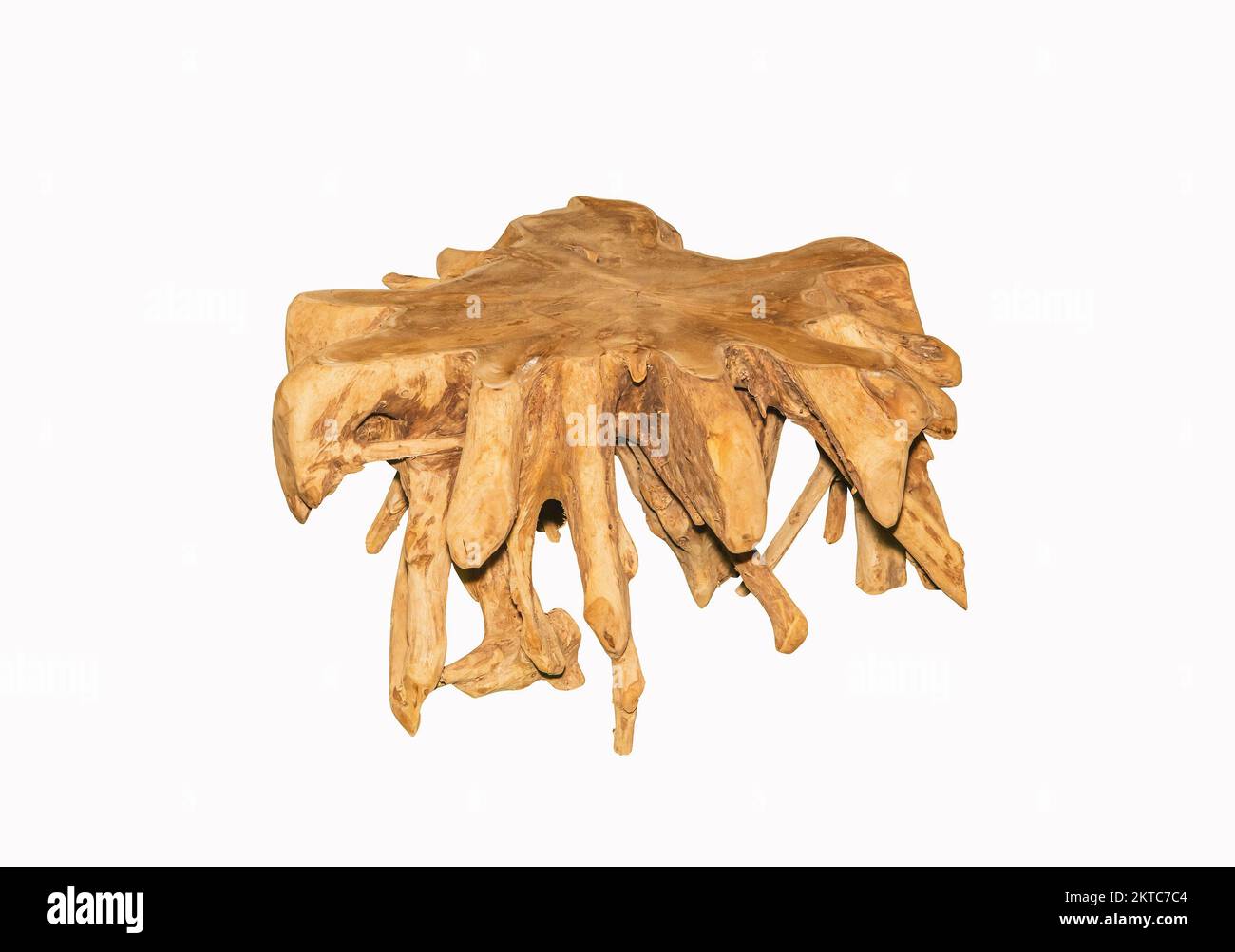 table made from the root of tree on white background. Interior element ...