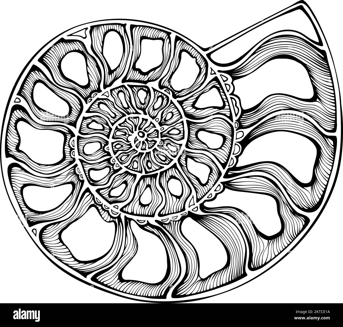 Fossil Ammonite Line Art Stock Vector Image And Art Alamy