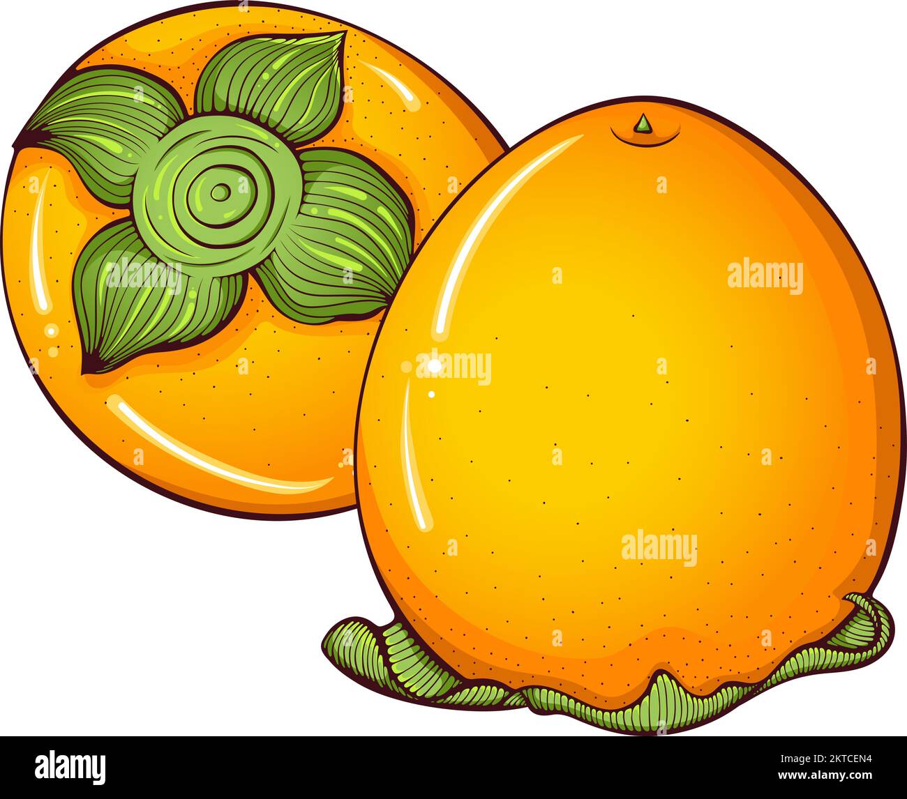 Persimmons fruit Stock Vector Images - Alamy